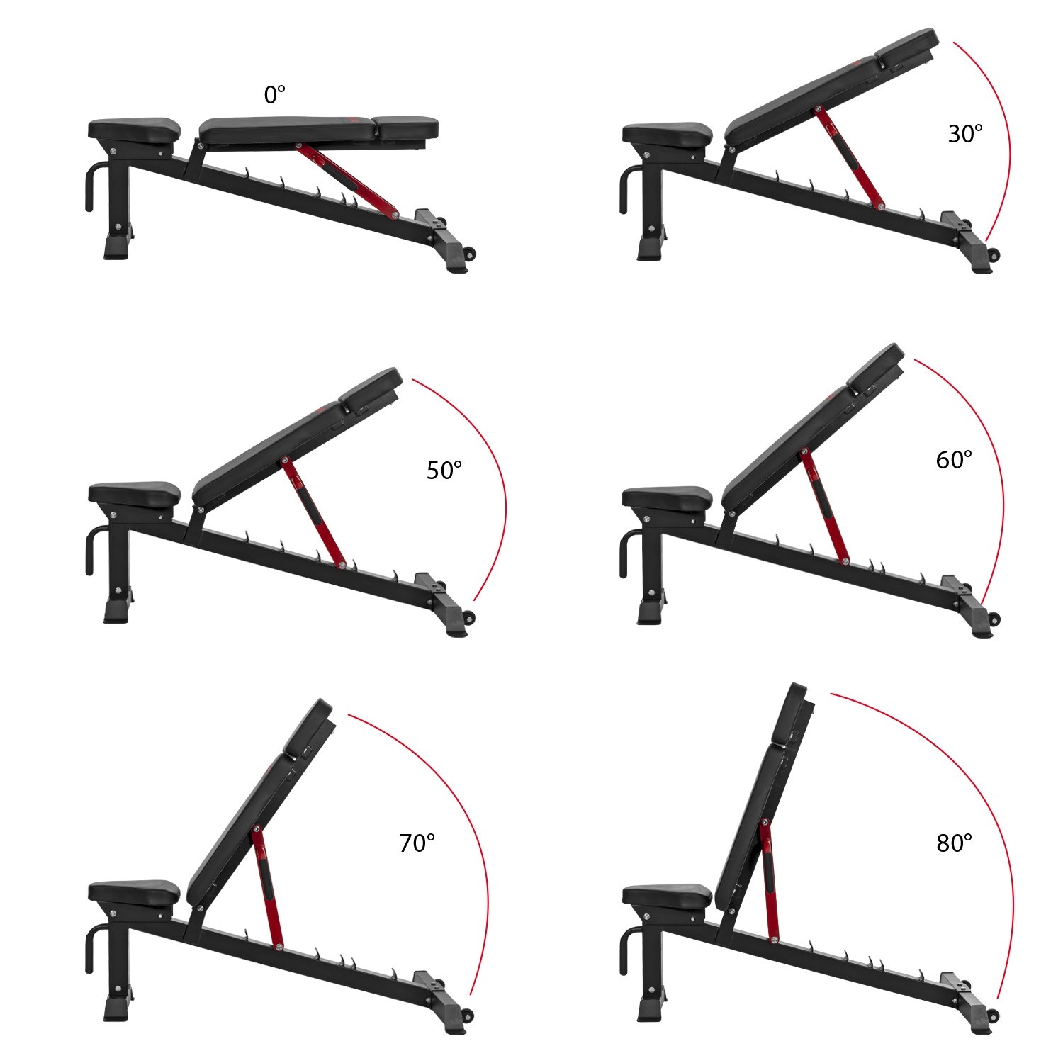 Panca professionale deluxe Fassi Power 60 - Panche - Sport 365